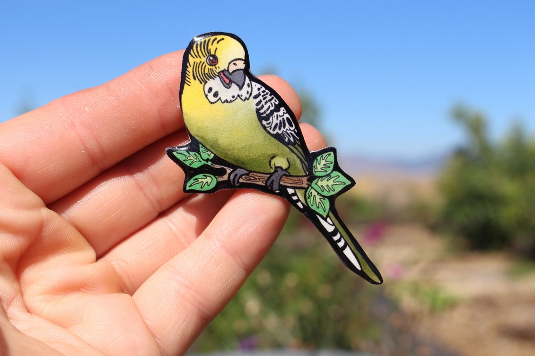 Budgie Magnet: Gift for Parakeet Bird Lovers, Vet Techs, Veterinarians ...