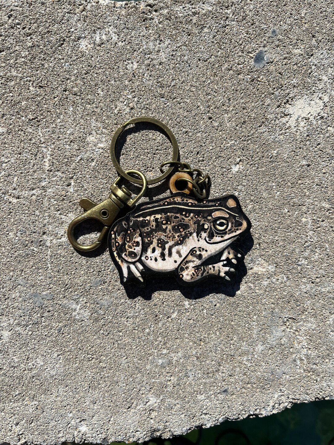 Wood Western Toad Keychain: Frog Animal Lovers, Vet Techs ...