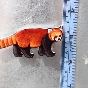 Red Panda Magnet: Gift for Red Panda Lovers Chinese Animal Cute Animal ...