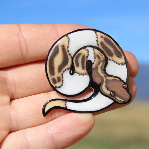 Ball Python Magnet Gift for Snake Lover Vet Tech - Etsy