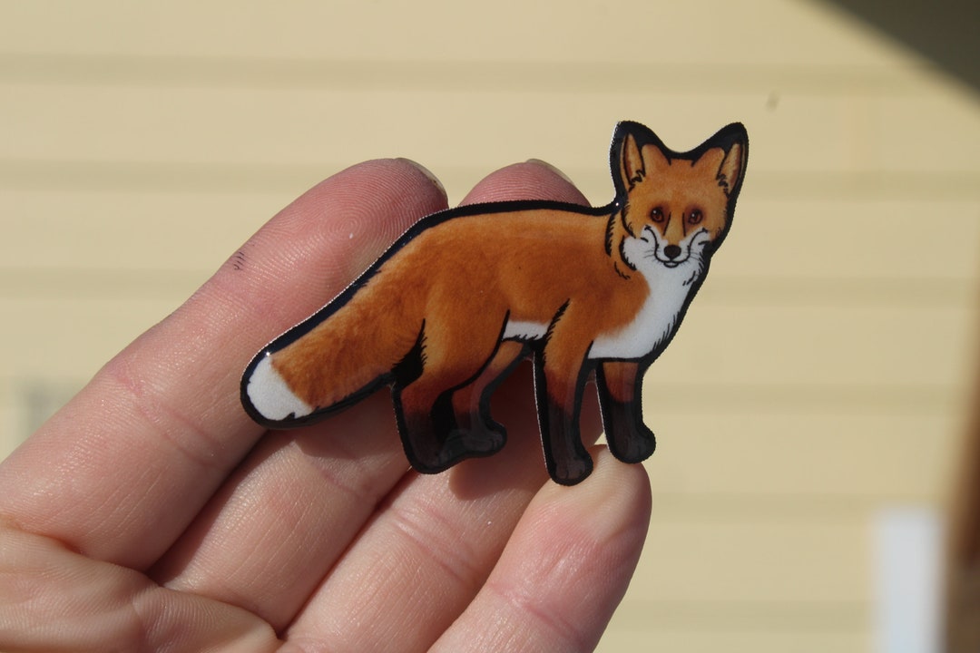 Red Fox Magnet: Gift for Fox Lovers, Vet Techs, Veterinarians ...