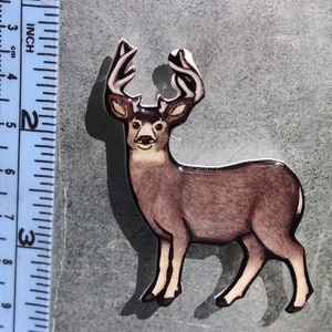 Mule Deer Magnet: Gift for Deer Lover or Hunter Woodland Prairie Animal ...