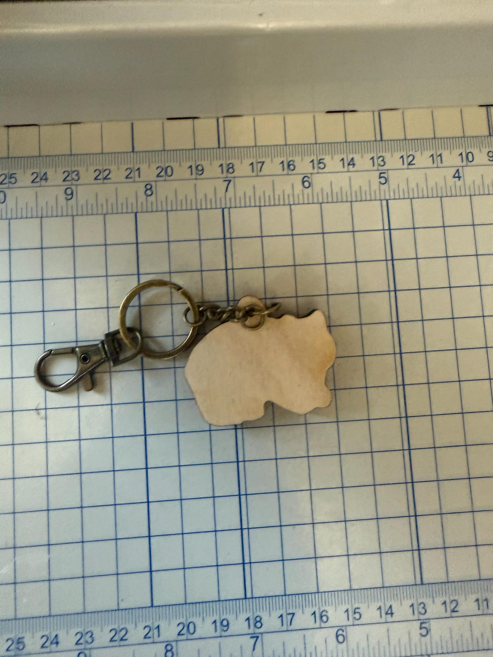 Wood Wombat Keychain: Gift for Animal Lovers, Vet Techs, Veterinarians ...