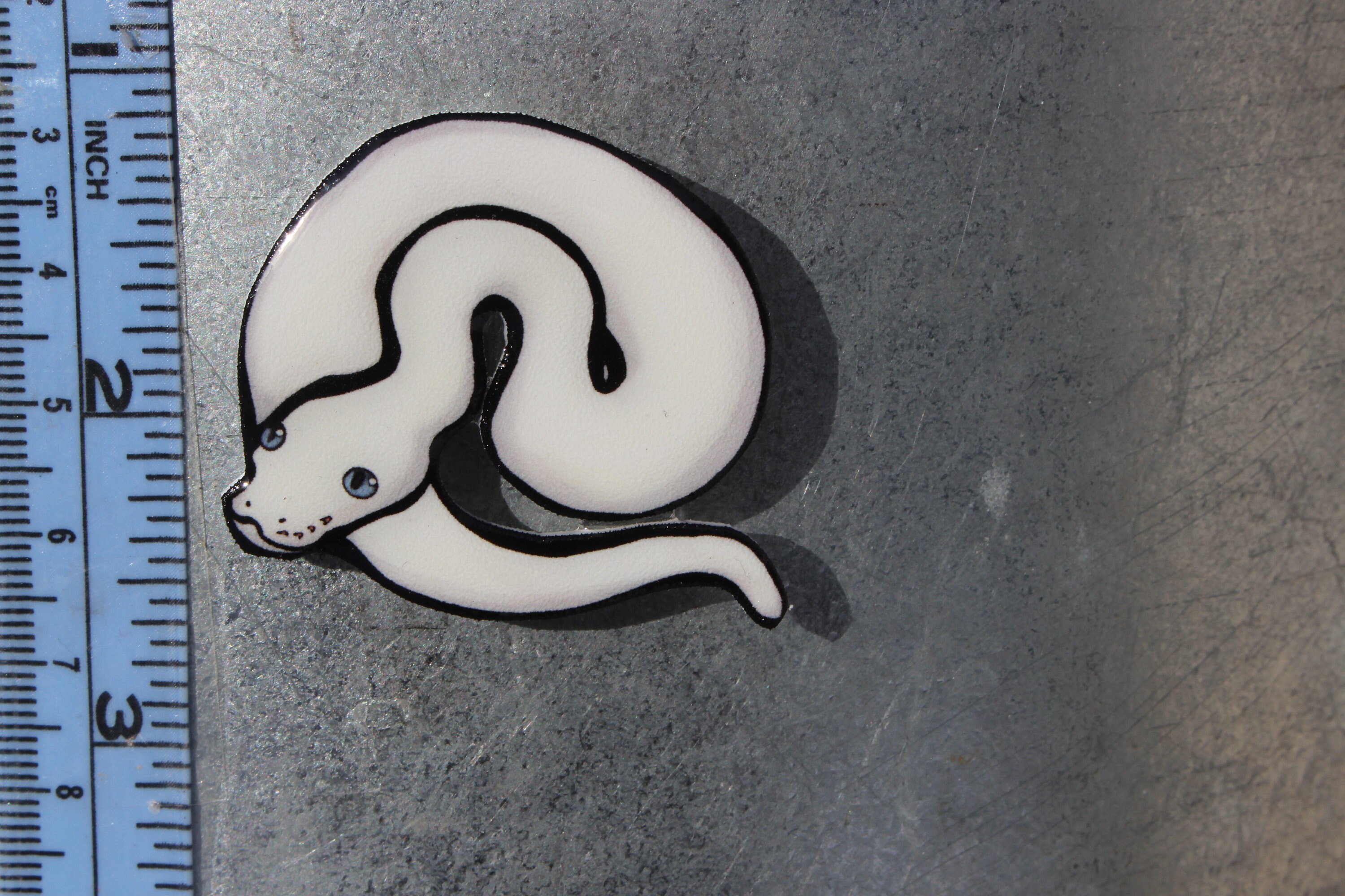 Blue Eyed Leucistic Lucy Ball Python Magnet Gift for Snake - Etsy