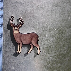 Mule Deer Magnet: Gift for Deer Lover or Hunter Woodland Prairie Animal ...