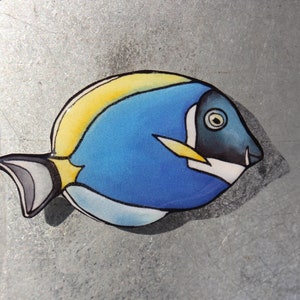 Powder Blue Tang Magnet: Gift for Reef Fish Lvoers, Scuba Divers ...