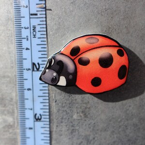 Ladybug Magnet: Gift for Bug Lovers Cute Bug Animal Magnets for Locker ...