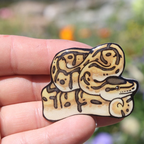 Ball Python - Etsy