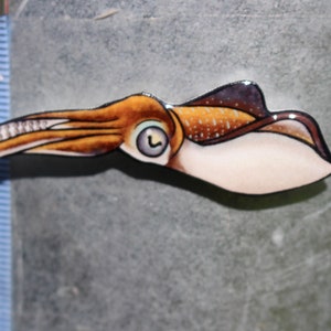 Squid Magnet: Gift for Squid Lovers or Scuba Divers Cute Ocean Animal ...
