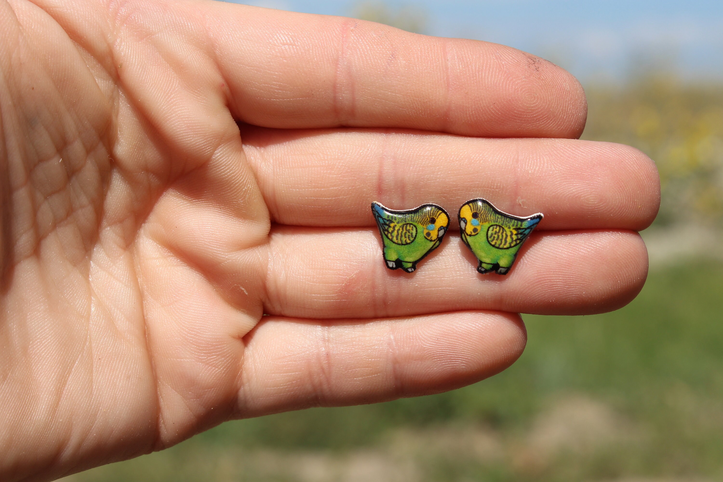 Parakeet Budgie Stud Earrings: Gift for Bird Lovers Teacher - Etsy