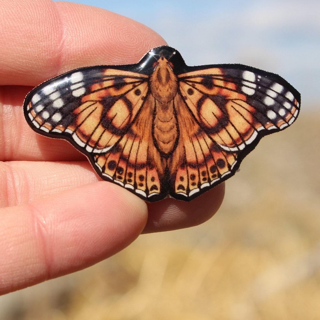Painted Lady Magnet: Gift for Butterfly Lovers, Garden Lovers ...