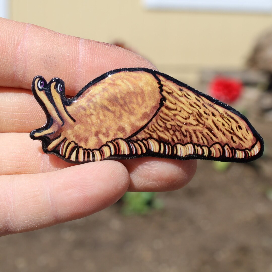 Common Slug Magnet: Gift for Gardener's, Bug Lovers, Vet Techs ...