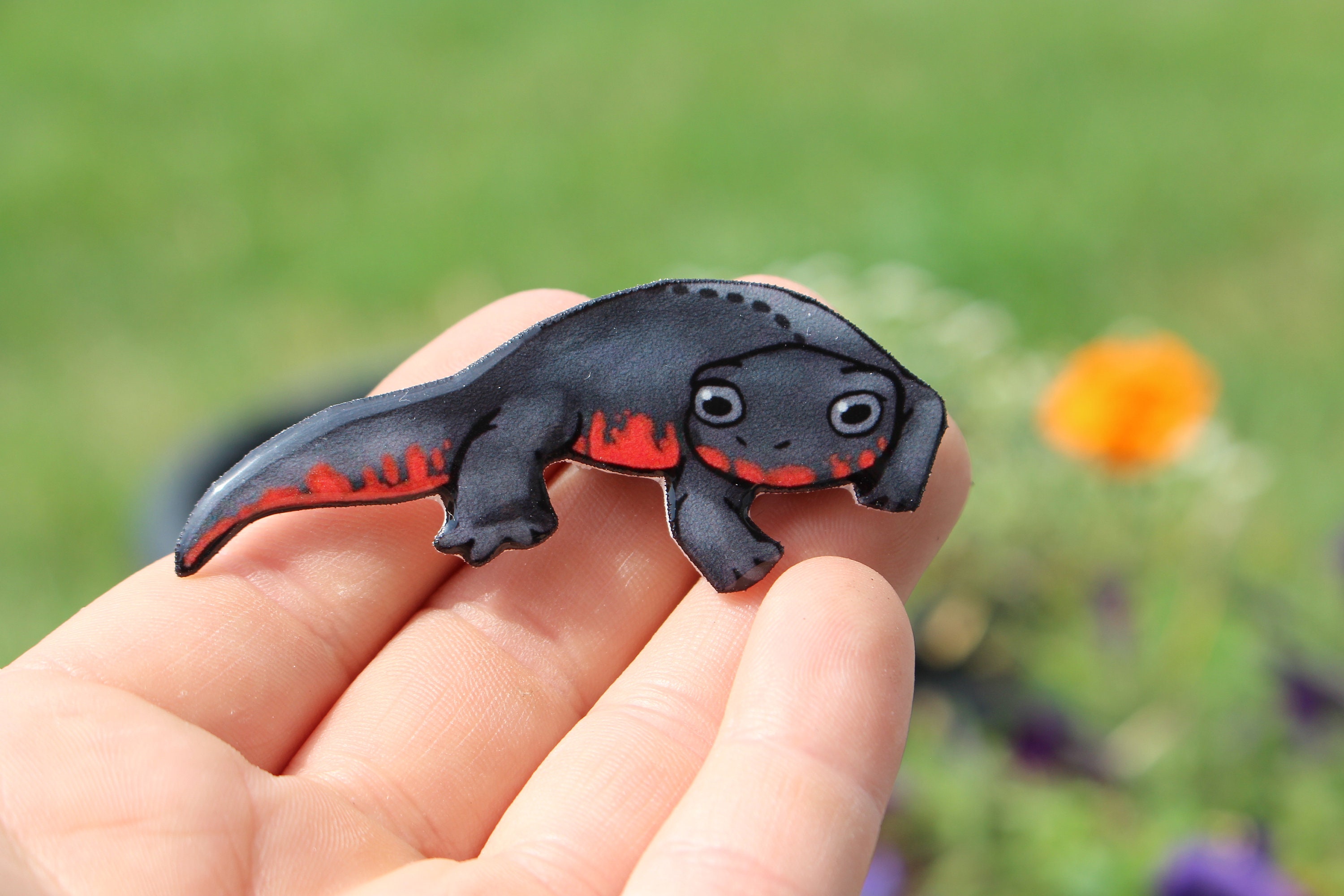 Fire Belly Newt