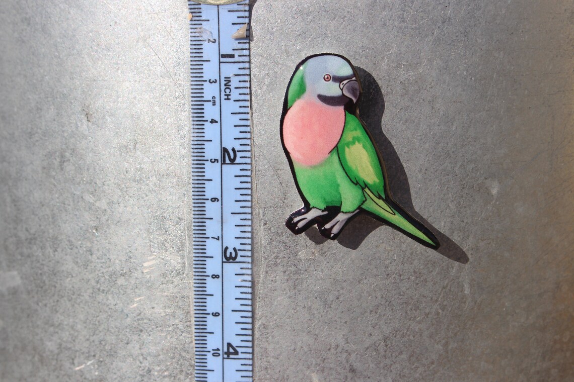Mustached Parakeet Magnet: Gift for Bird Lovers, Vet Techs ...
