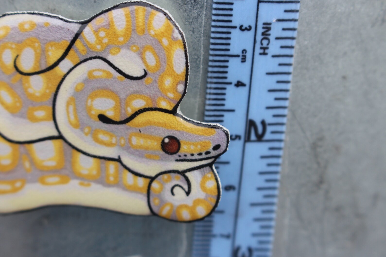 Ball Python Magnet Gift for Snake Lover or Albino Ball Python - Etsy