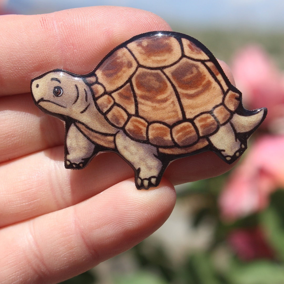 Russian Tortoise Magnet : Gift for Turtle Lover, Vet Tech, Veterinarian ...