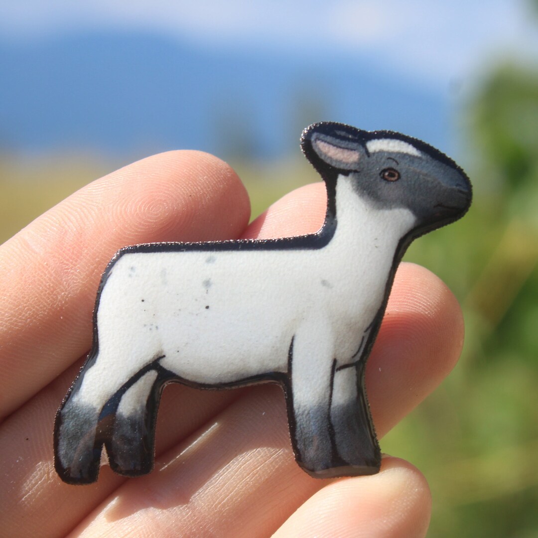 Sheep Magnet : Gift for Sheep Lovers, Vet Techs, Farmers, Veterinarians ...