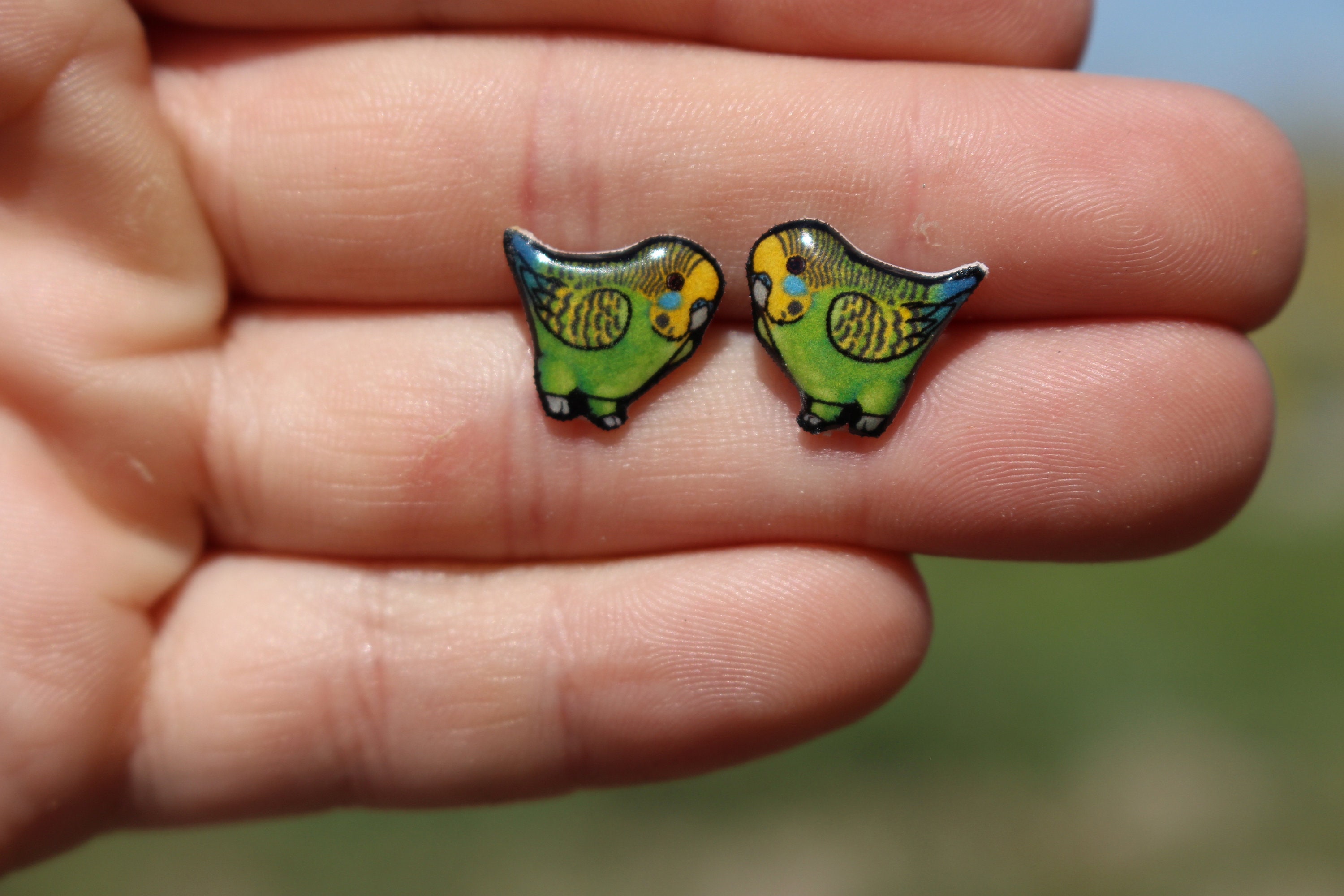 Parakeet Budgie Stud Earrings: Gift for Bird Lovers Teacher - Etsy