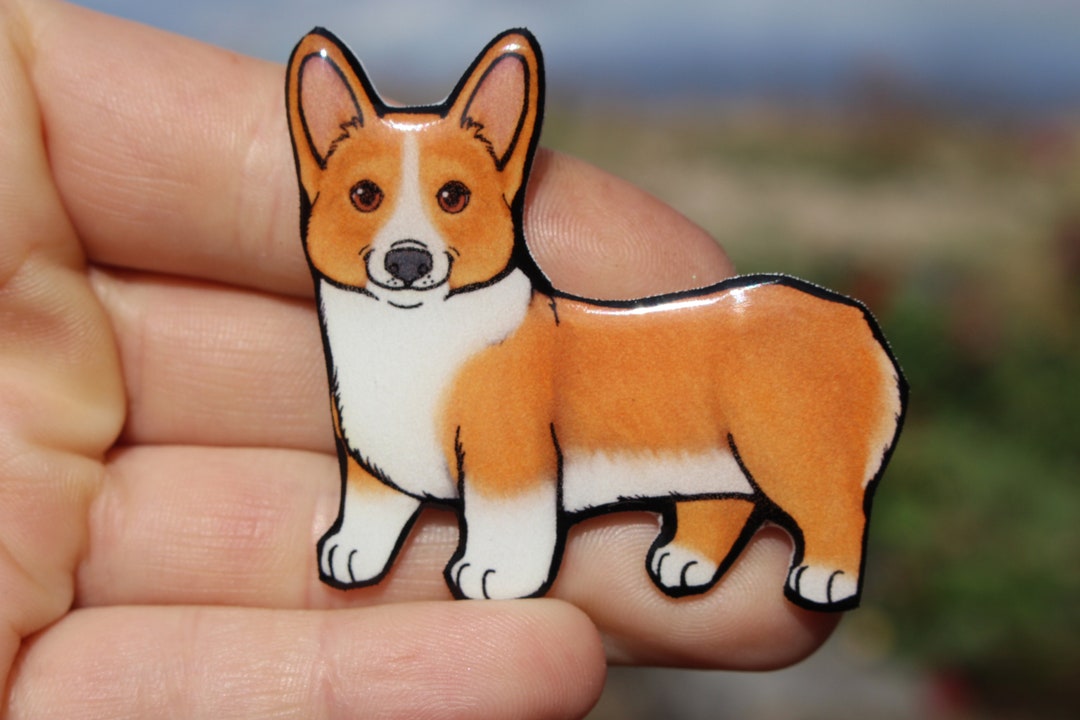 Corgi Magnet : Gift for Corgi Lovers Teachers Vet Techs - Etsy