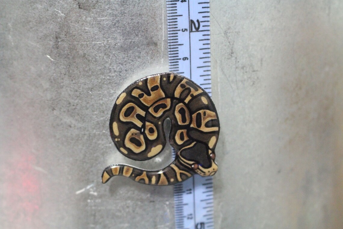 Ball Python Magnet Gift for snake lover or python loss | Etsy