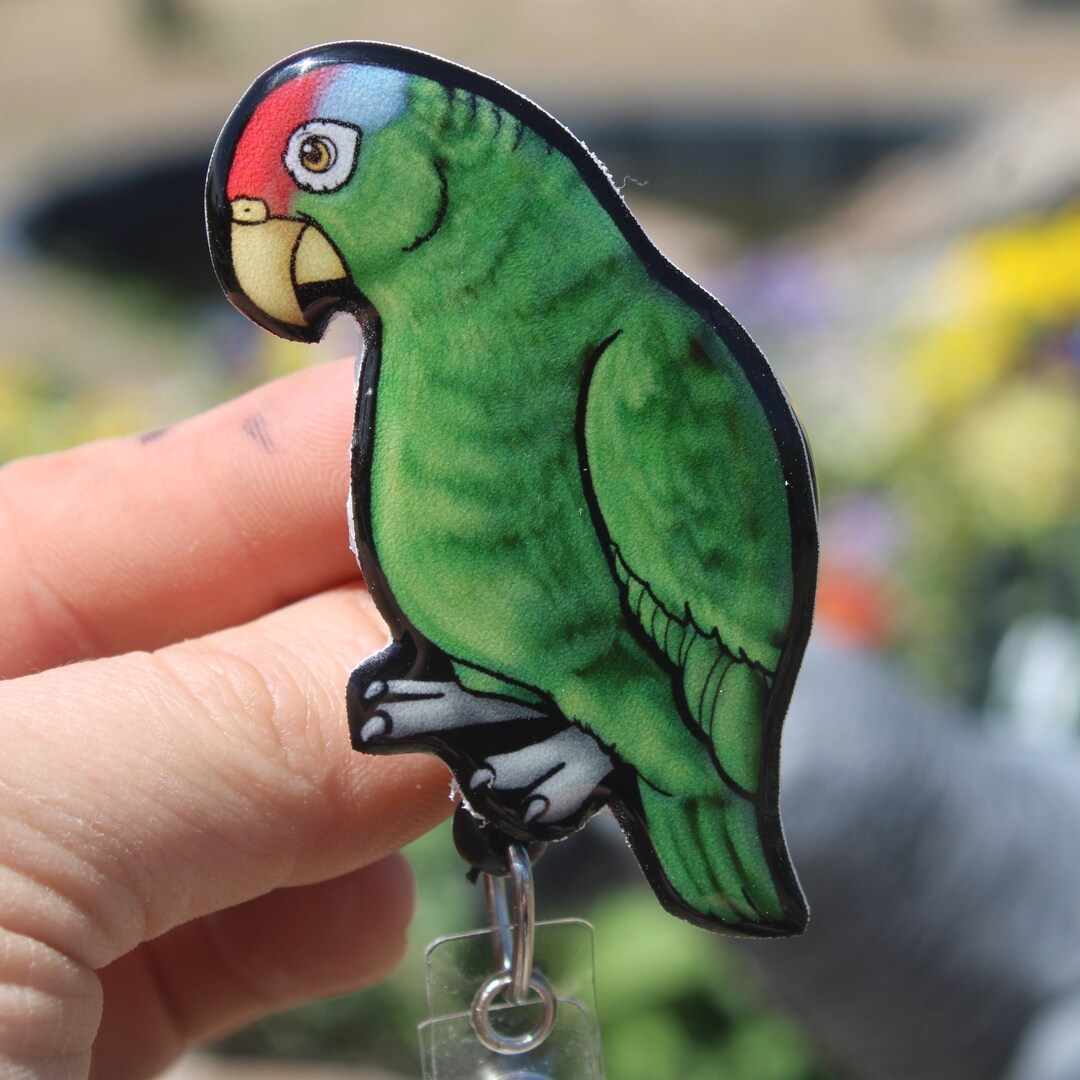 Amazon Parrot Badge Reel ID Holder: Gift for Bird Lover, Vet Tech ...