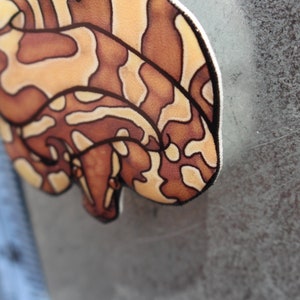 Ball Python Magnet Gift for Snake Lover for Locker or Fridge Ball ...