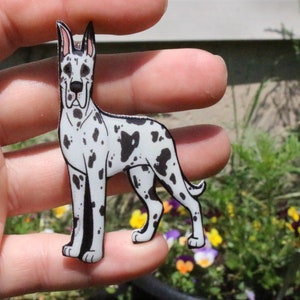 Great Dane Magnet: Gift for Dog Lovers Vet Techs Teachers | Etsy