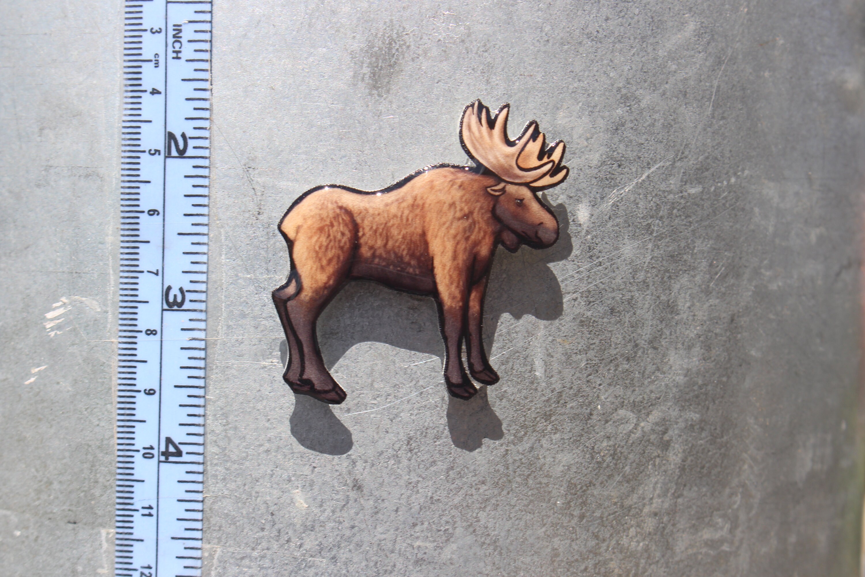 Moose Magnet : Gift for moose lovers hunterszookeepers vet | Etsy