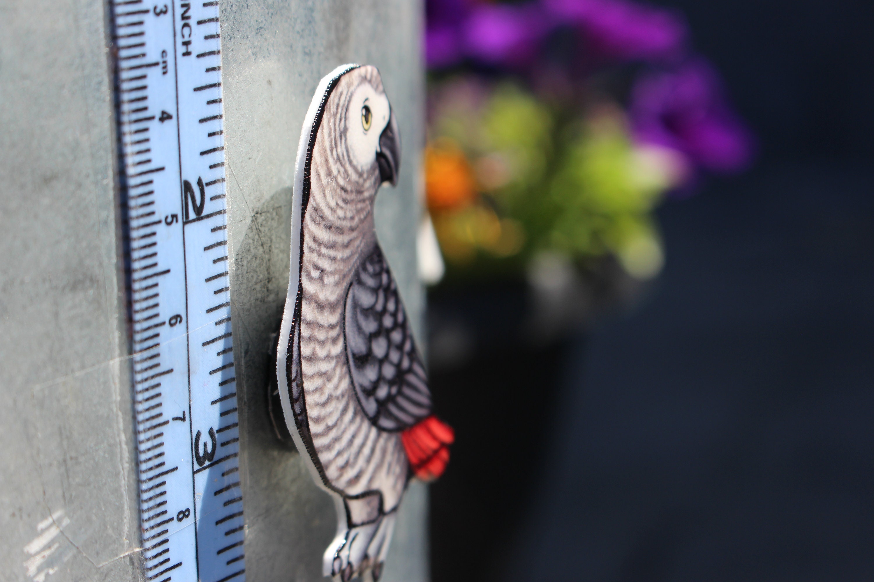 African Grey Parrot Magnet: Gift for Bird Lovers Vet Techs - Etsy