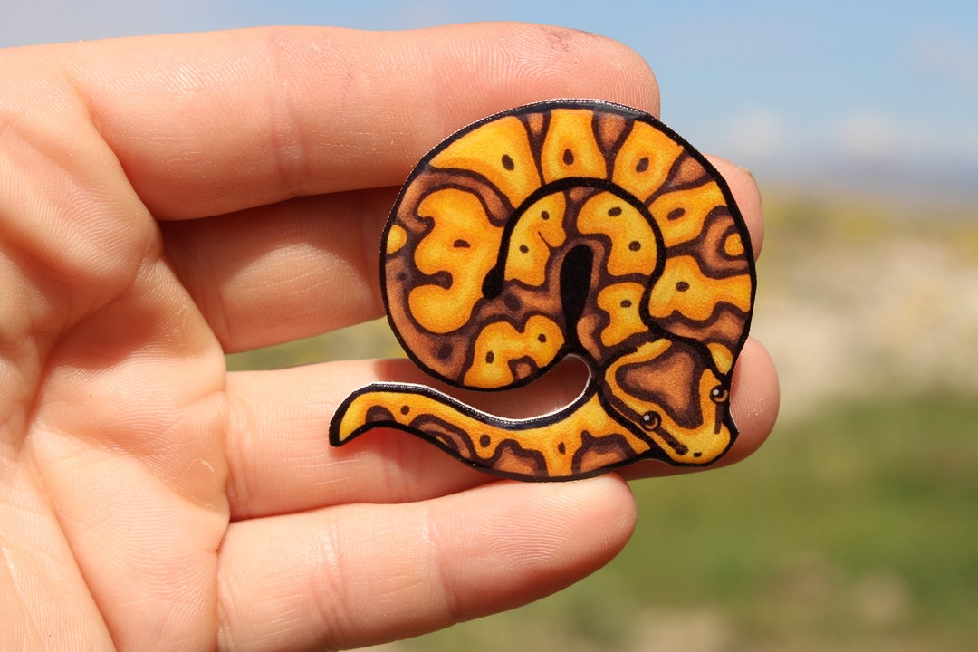Ball Python Magnet: Gift for Reptile Snake Lovers Teachers - Etsy
