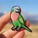 Mustached Parakeet Magnet: Gift for Bird Lovers, Vet Techs ...