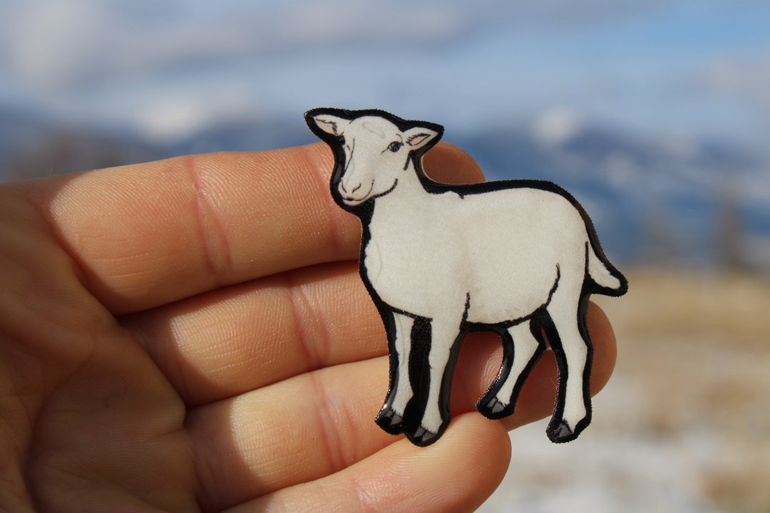 Sheep Magnet : Gift for Sheep Lovers, Vet Techs, Farmers, Veterinarians ...