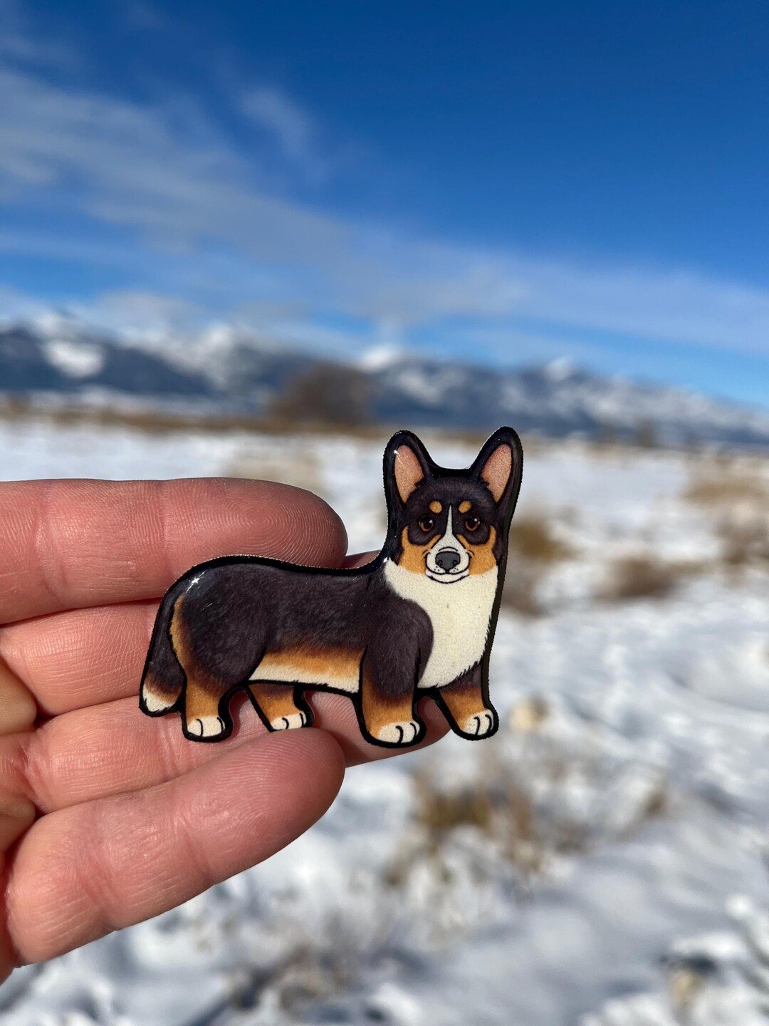 Corgi Magnet : Gift for Corgi Lovers, Teachers, Vet Techs Corgi Loss ...