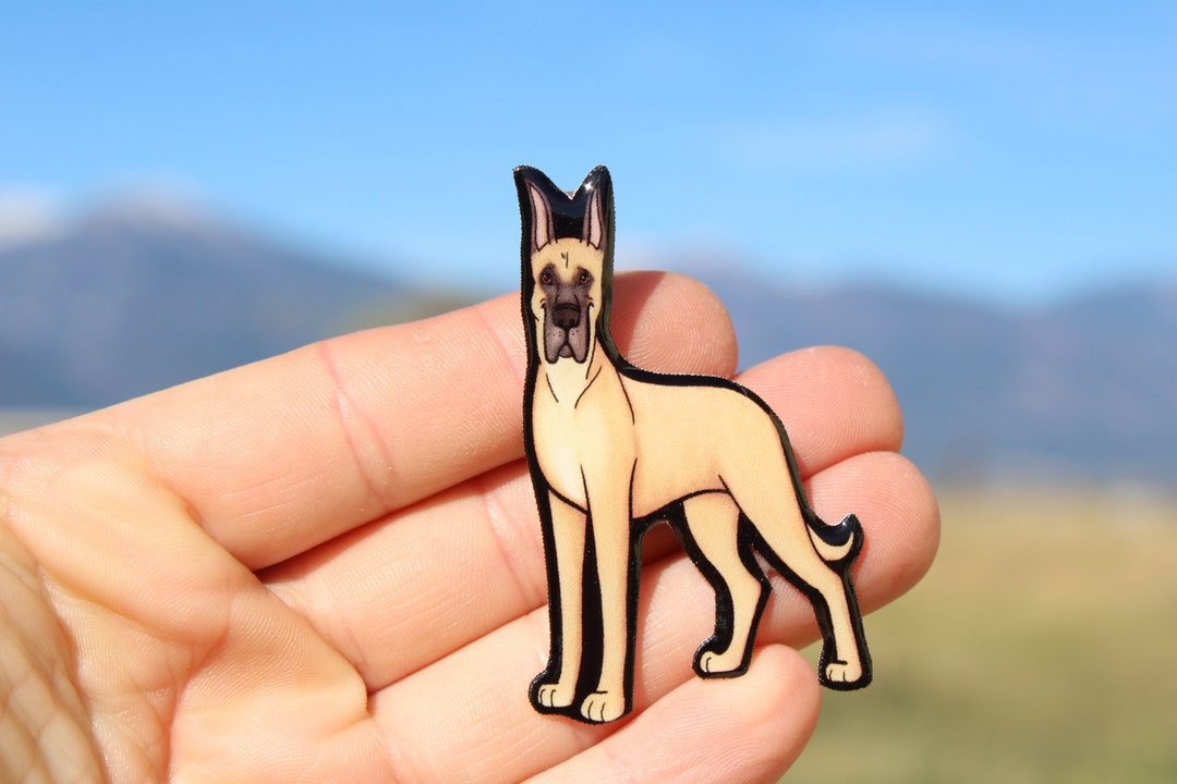 Great Dane Magnet: Gift for Dog Lovers, Vet Techs, Teachers ...