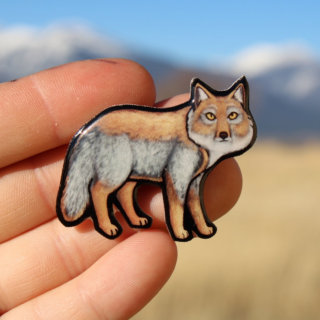 Tibetan Sand Fox Magnet: Gift for Fox Lovers, Vet Techs, Veterinarian ...