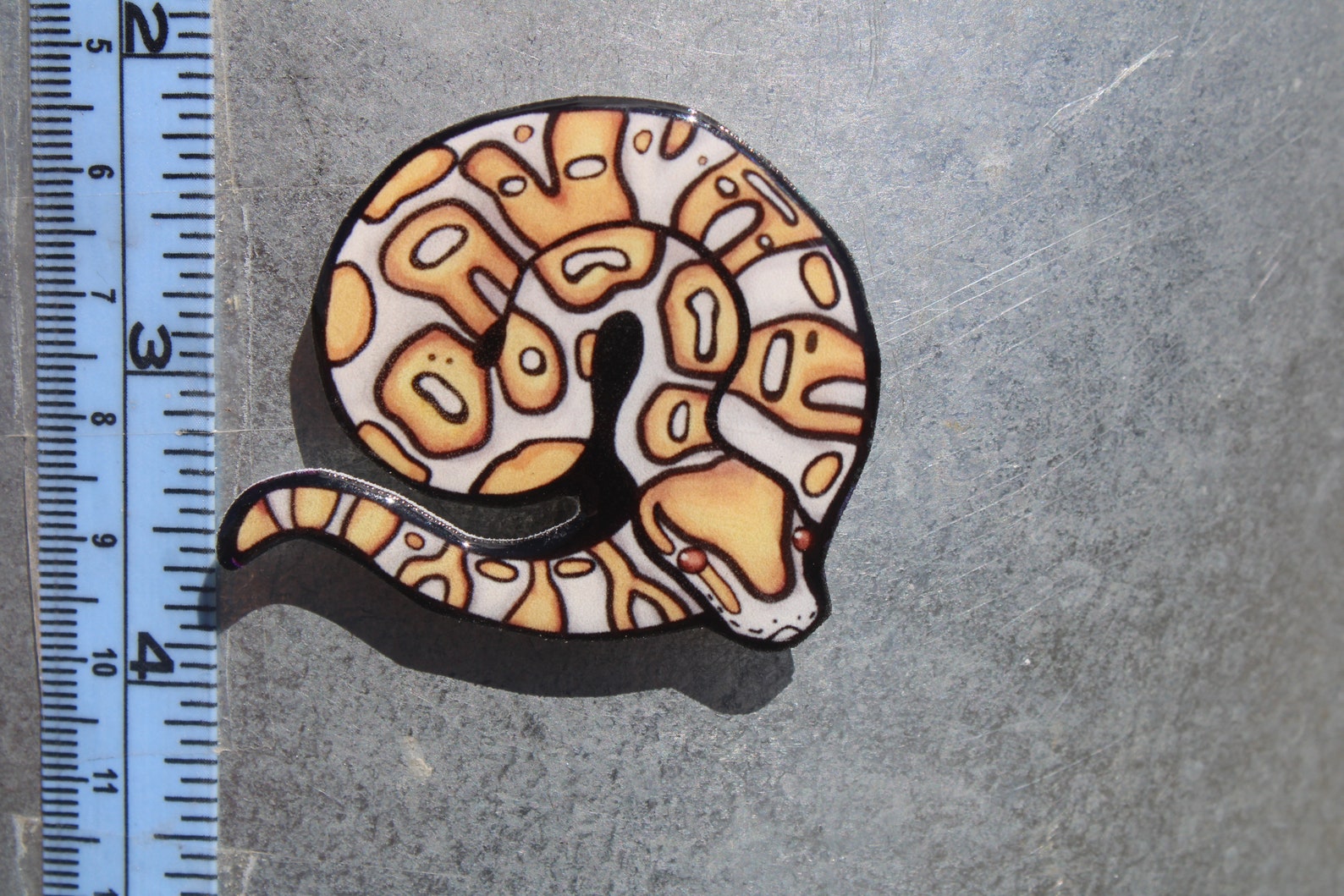 Ball Python Magnet Gift for Snake Lover Vet Tech - Etsy