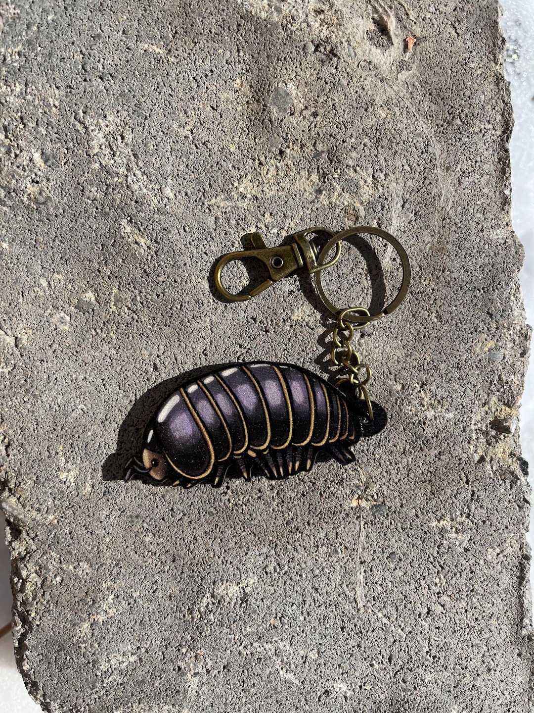 Wood Roly Poly Pillbug Keychain: Gift for Bug Lovers, Vet Techs ...