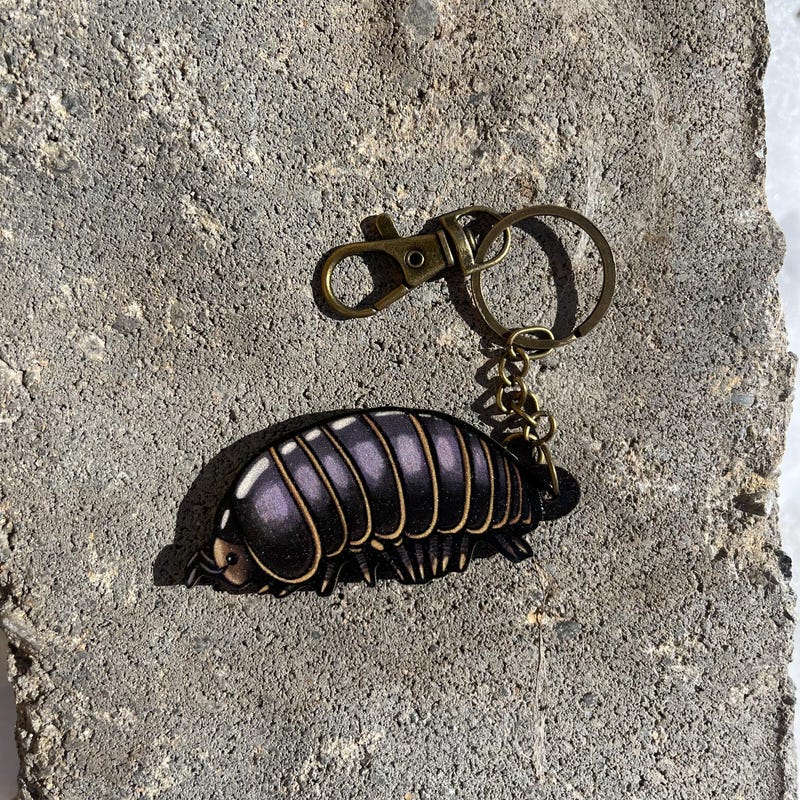 Pillbug Gifts - 60+ Gift Ideas for 2025