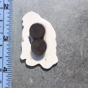 Yosemite Toad Magnet: Gift for Frog Lovers, Vet Techs, Veterinarians ...