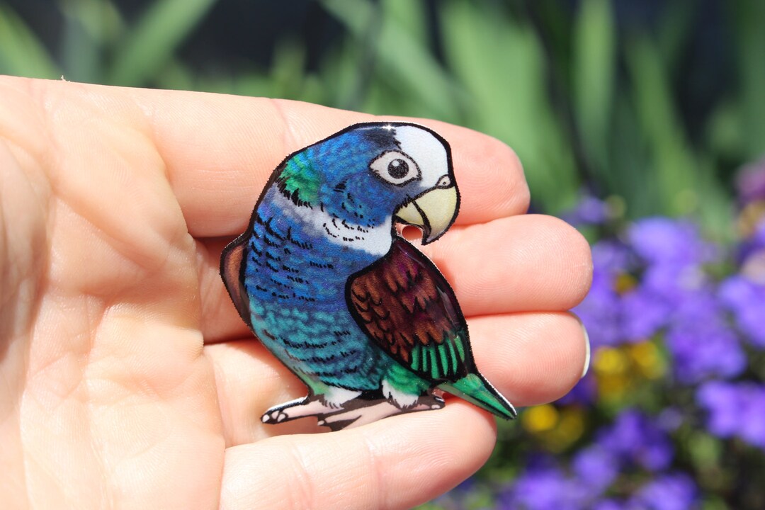 Pionus Parrot Magnet Gift for Bird Lover for Locker or Fridge Pionus ...