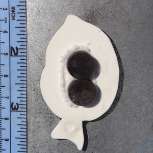 Powder Blue Tang Magnet: Gift for Reef Fish Lvoers, Scuba Divers ...