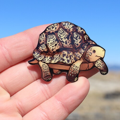 Russian Tortoise Magnet : Gift for Turtle Lover Vet Tech - Etsy