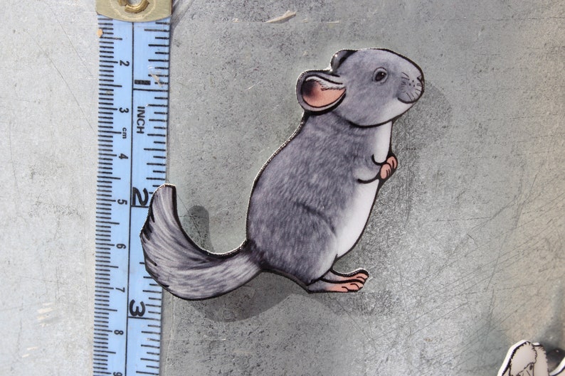 Chinchilla Magnet: Gift for Chinchilla Lover or Chinchilla Loss ...