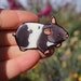New Driver Pls Be Nice Sad Hamster Car Bumper Sticker Crying Funny Cute ...