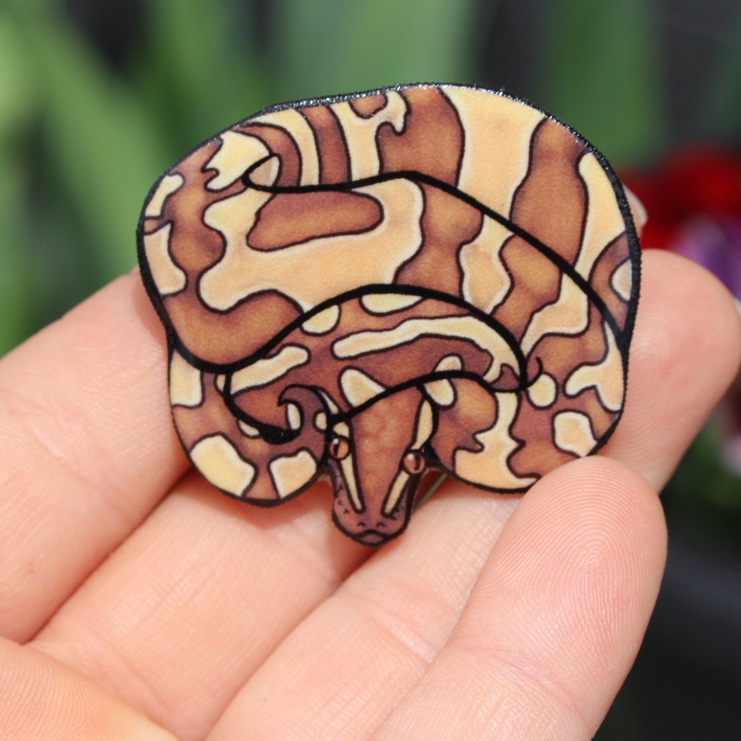 Ball Python Magnet Gift for Snake Lover for Locker or Fridge Ball ...