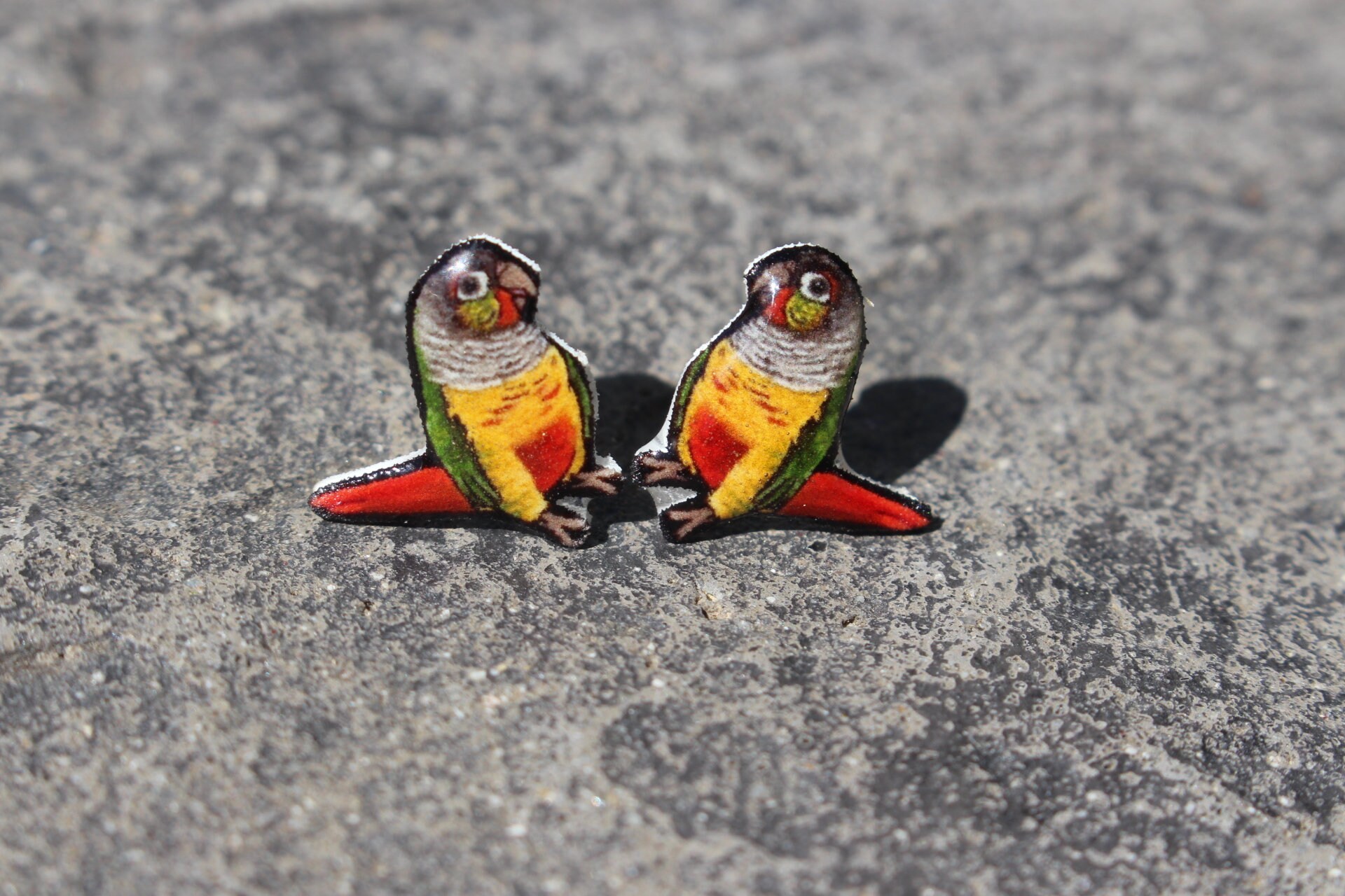 Conure Earring : Stainless Steel Posts for Sensitive Ears Great Gift ...