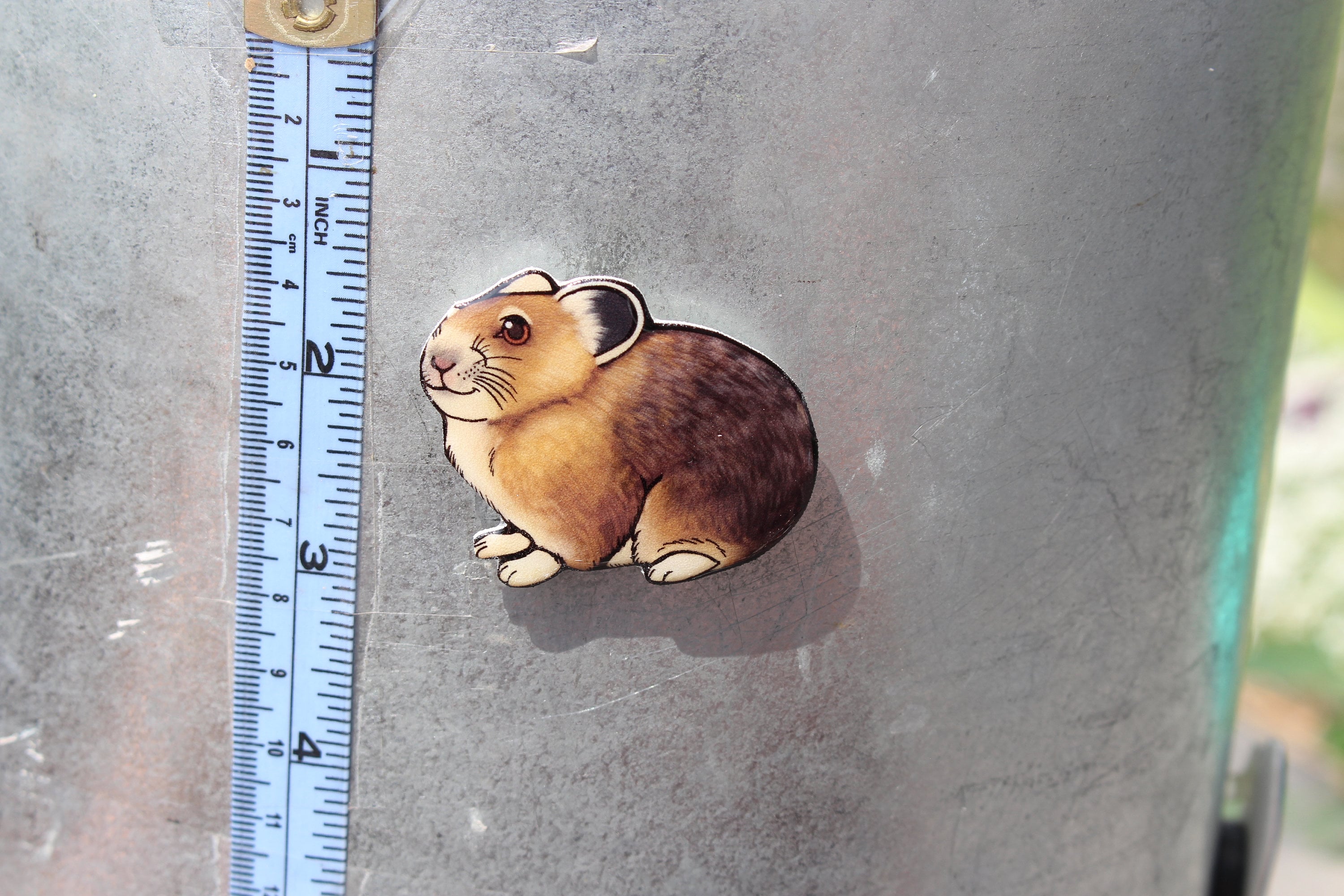 Pika Magnet: Gift for Pika Lovers or Pika Loss Memorial Cute Animal ...