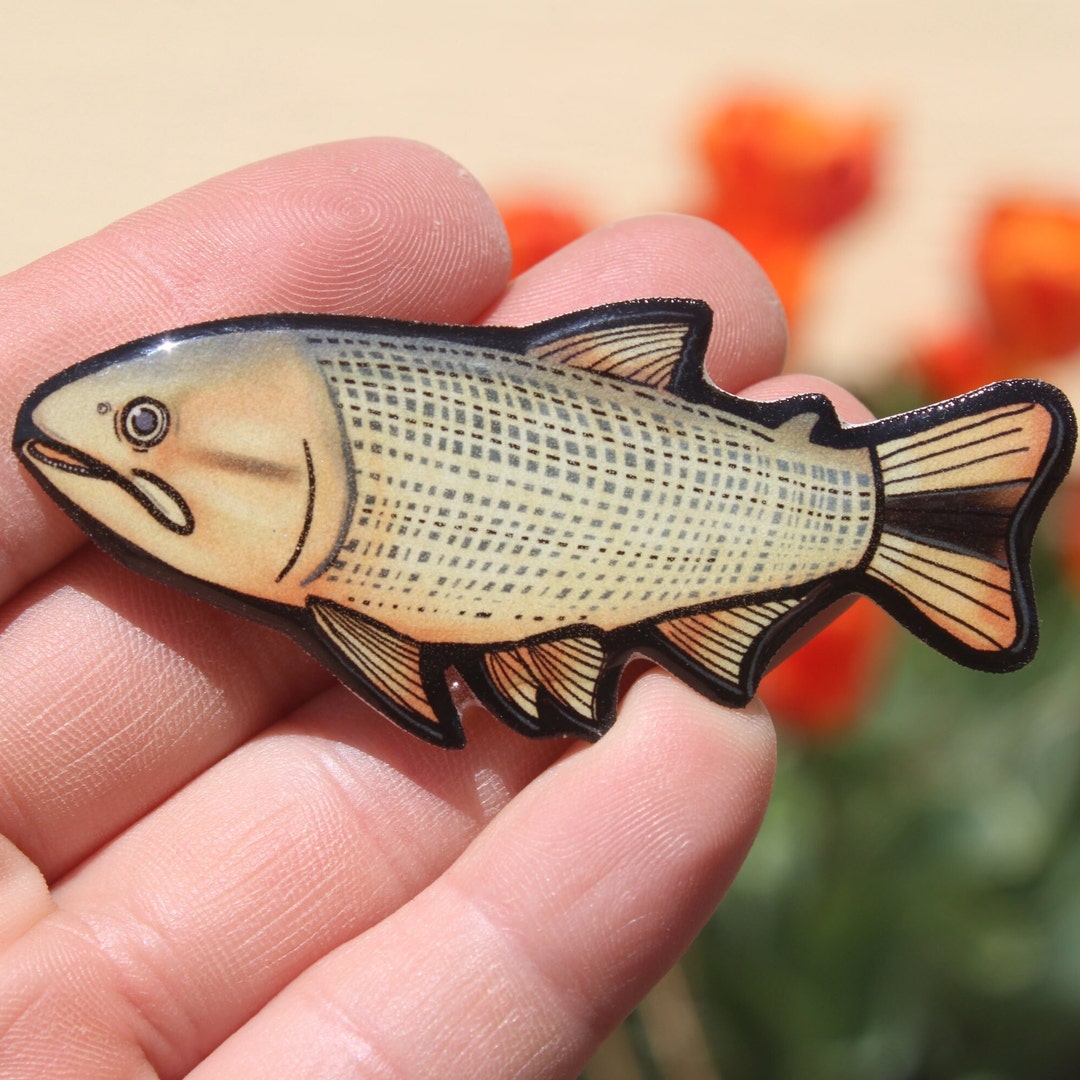 Golden Dorado Magnet: Gift for Fishing Man or Women, Dad, Vet Tech Gift ...