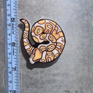 Ball Python Magnet Gift for Snake Lover, Vet Tech, Veterinarian ...