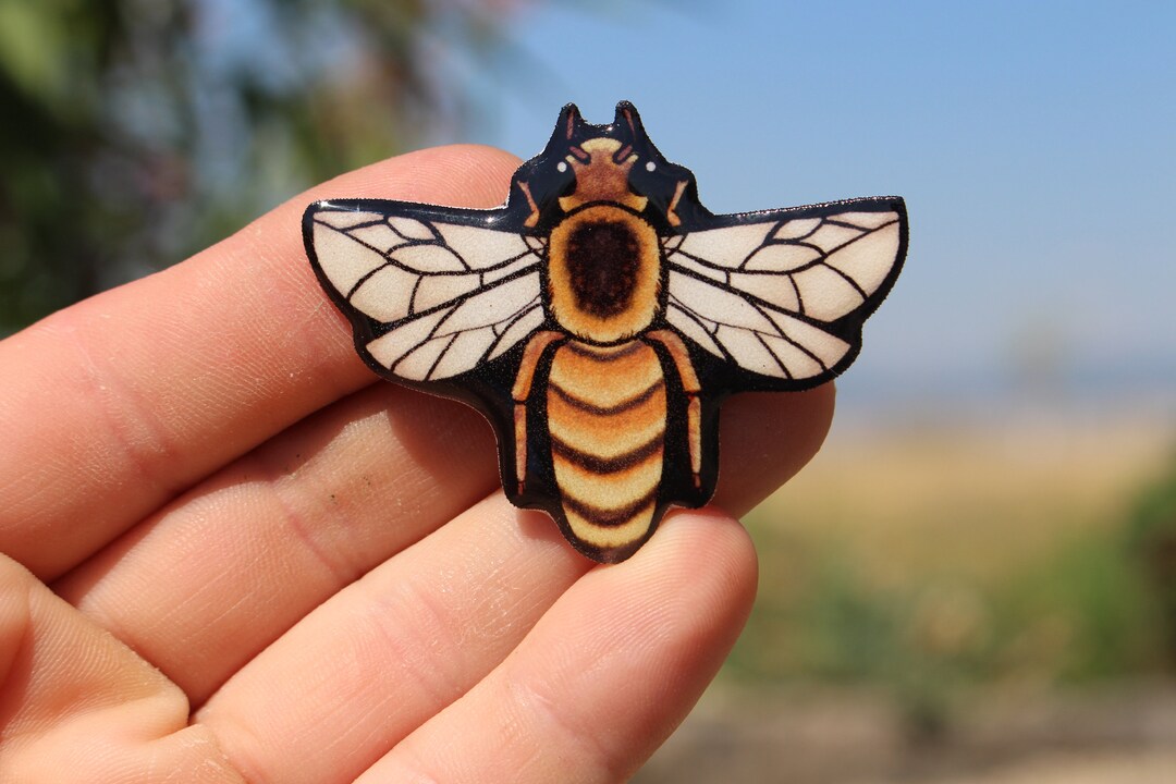 Honey Bee Magnet: Gift for Bee Lovers, Bee Keepers, Gardeners ...